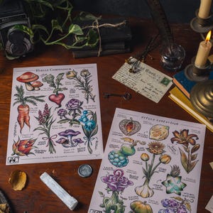 Hyrule Compendium Breath of the Wild Tears of the Kingdom Botanical ...