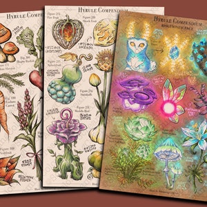 Hyrule Compendium Luminescence Tears of the Kingdom Breath of the Wild ...