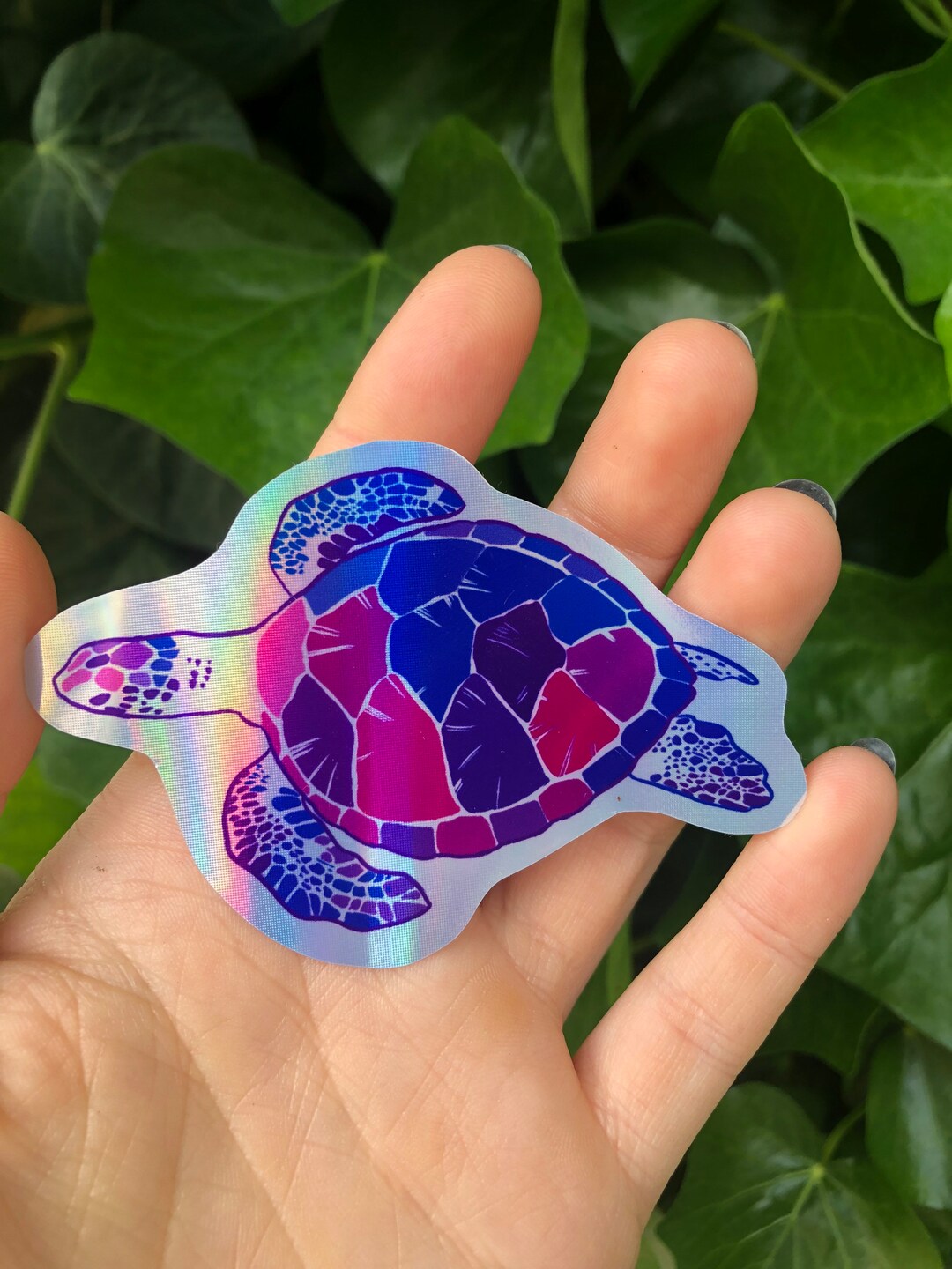 Graceful Sea Turtle Vinyl Sticker, Waterproof - Etsy