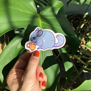 Chin-chai-la Sticker Friends - Etsy