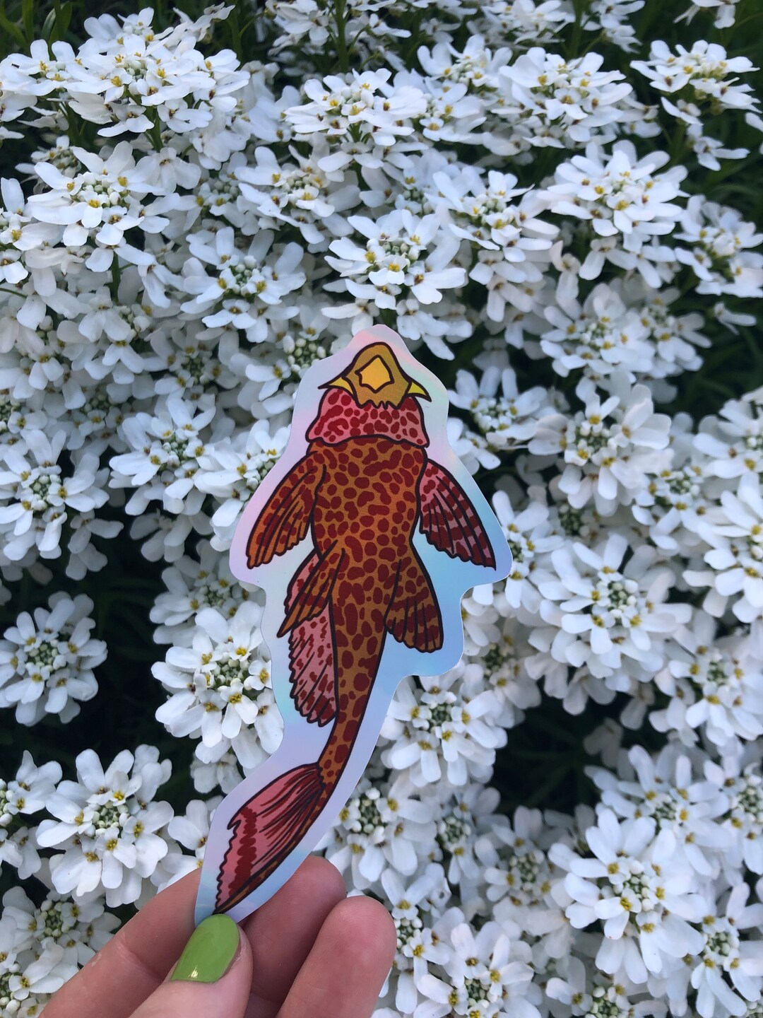 Holographic Sucker Fish Sticker! - Etsy