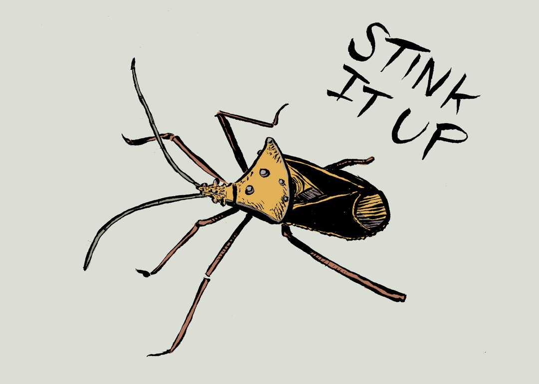 Stink It up Stinkbug Digital Art Print (5"x7") - Etsy