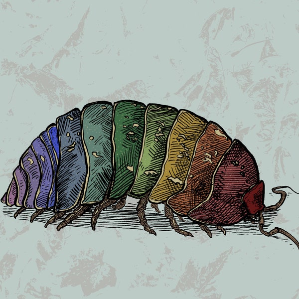 Isopod Art - Etsy