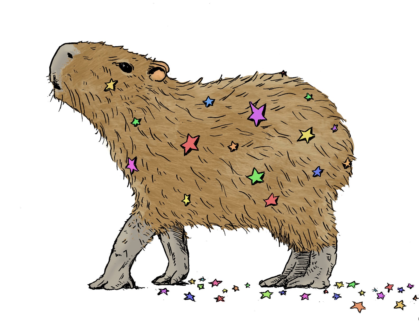 Glamorous Capybara With Stars Art Print 5x7 - Etsy
