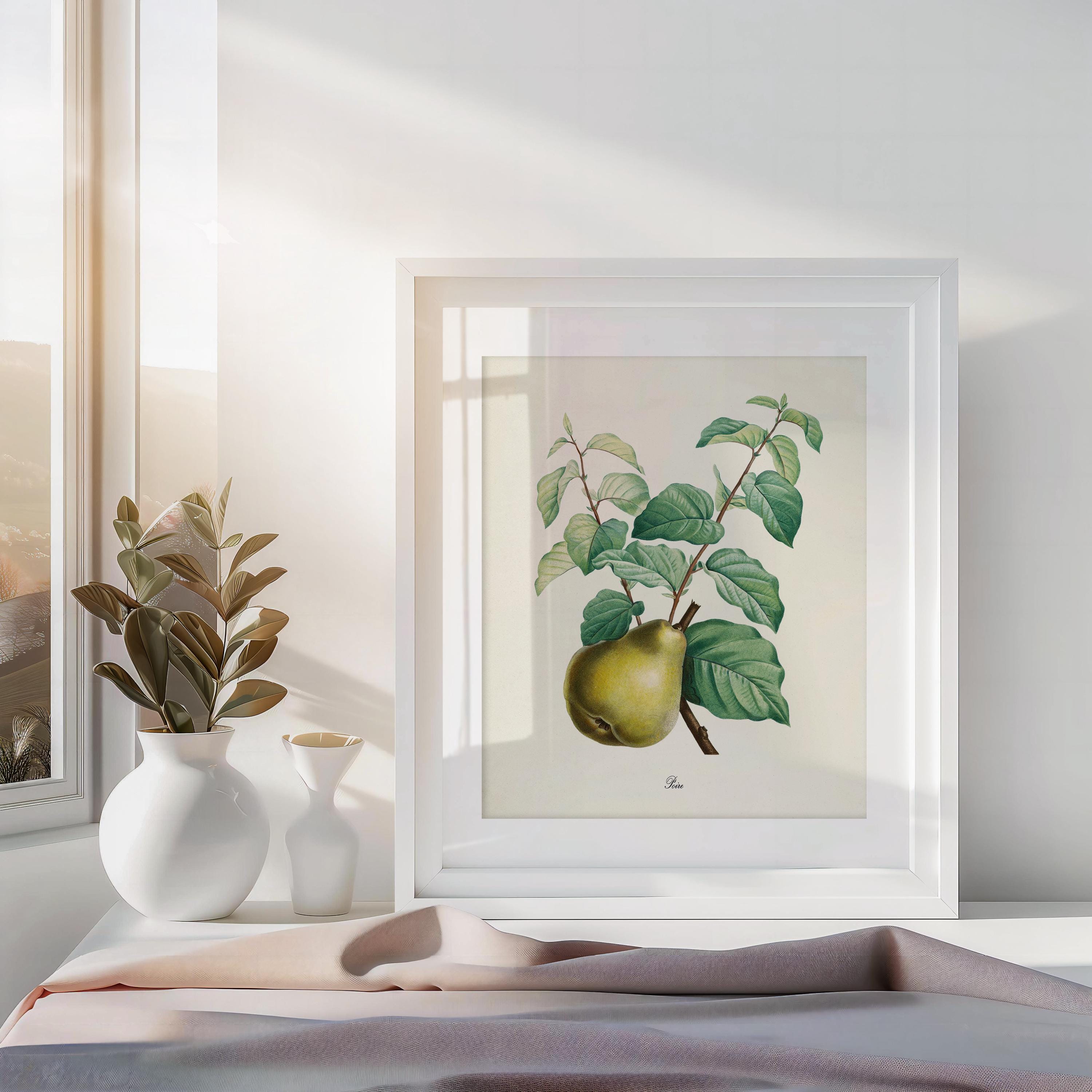 Pear Botanical Print, Pear Art Print, Pear Wall Art, Fruit Art, Fruit ...