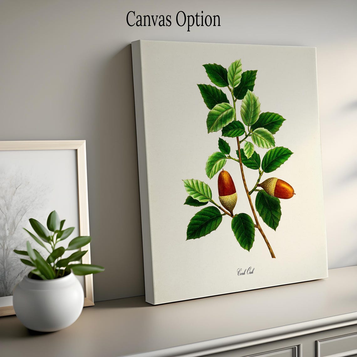 Cork Oak Art Print, Botanical Art Print, Wall Art, Botanical Print ...