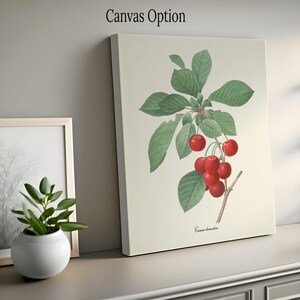 Cherry Botanical Print, Cherry Art Print, Fruit Art, Fruit Print ...