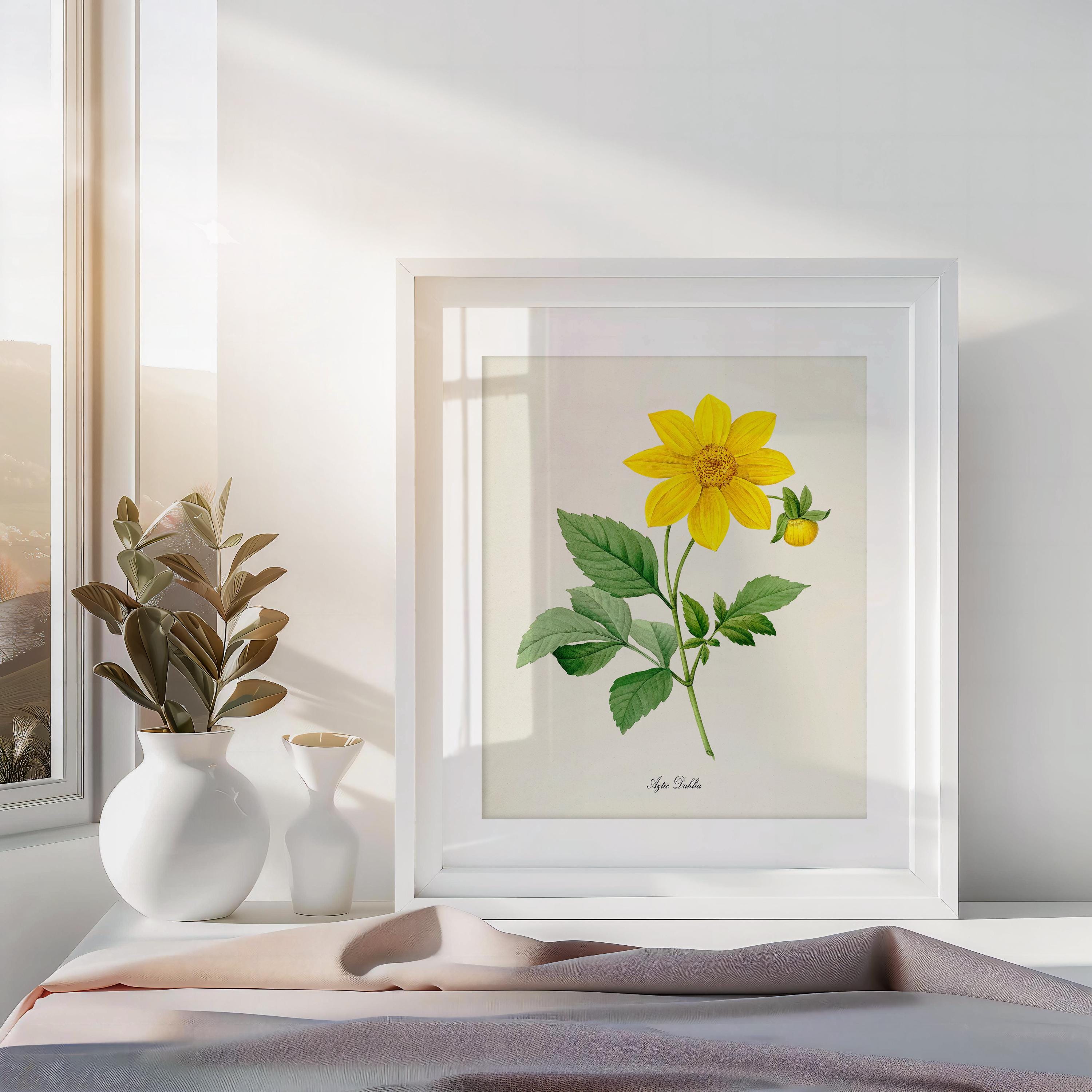 Aztec Dahlia Flower Art Print, Botanical Art Print, Flower Wall Art ...