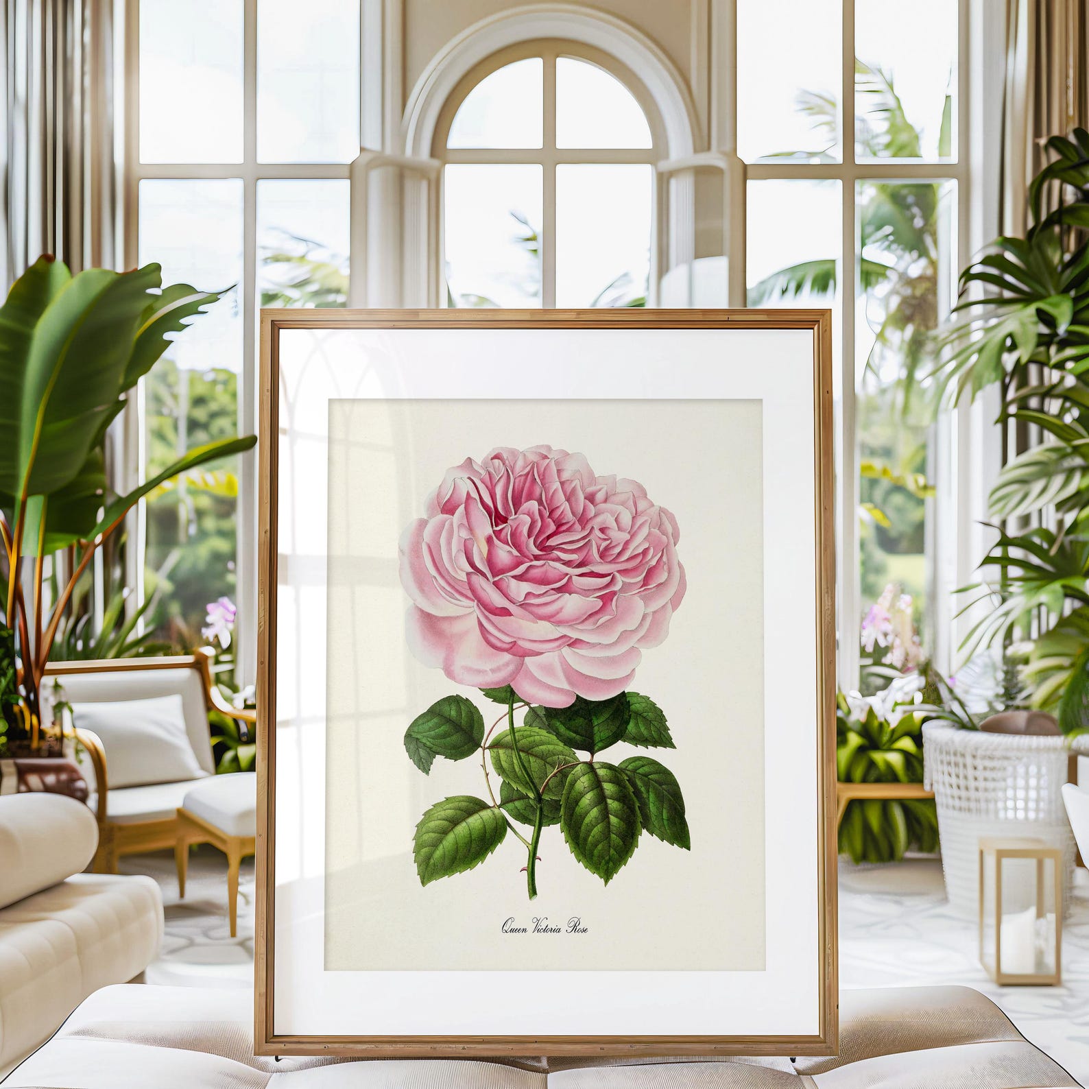 Queen Victoria Rose Flower Art Print, Rose Botanical Art Print, Flower ...
