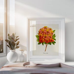Deciduous Azaleas Flower Art Print, Botanical Art Print, Flower Wall ...