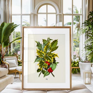 Holly Art Print, Botanical Art Print, Wall Art, Botanical Print ...