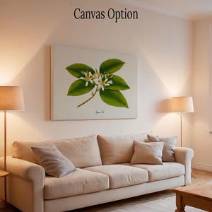 Gurjun Tree Art Print, Botanical Art Print, Gurjun Tree Wall Art ...