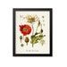 Tea Botanical Print, Tea Botanical Art Print, Tea Wall Art, Tea Decor ...