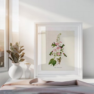 Anna's Hummingbirds Print, Bird Art Print, Bird Art, Bird Poster ...