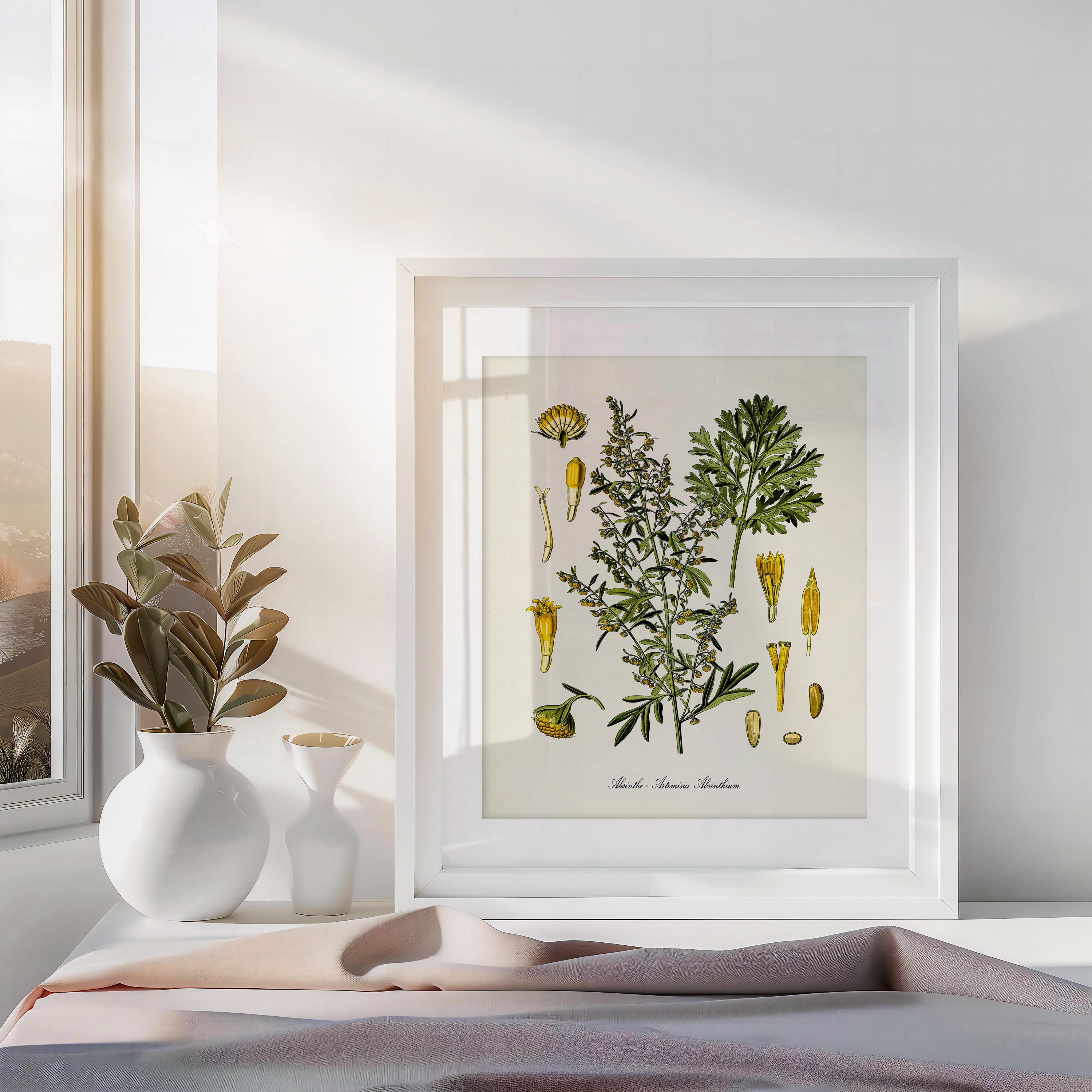 Absinthe Botanical Print, Wormwood Botanical Art, Medicinal Plant Print ...