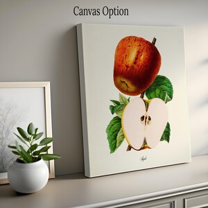Apple Botanical Print, Apple Art Print, Fruit Art, Fruit Print, Kitchen ...