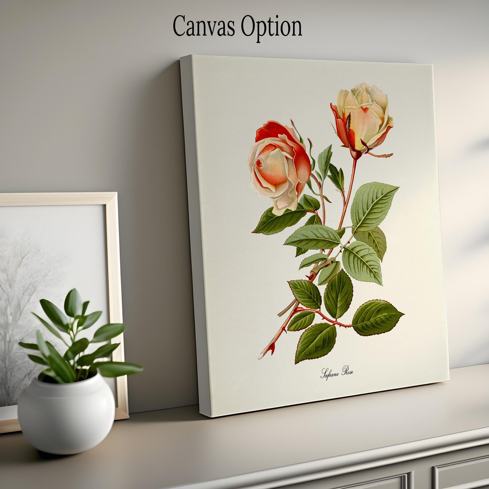 Safrano Rose Flower Art Print, Botanical Art Print, Flower Wall Art ...