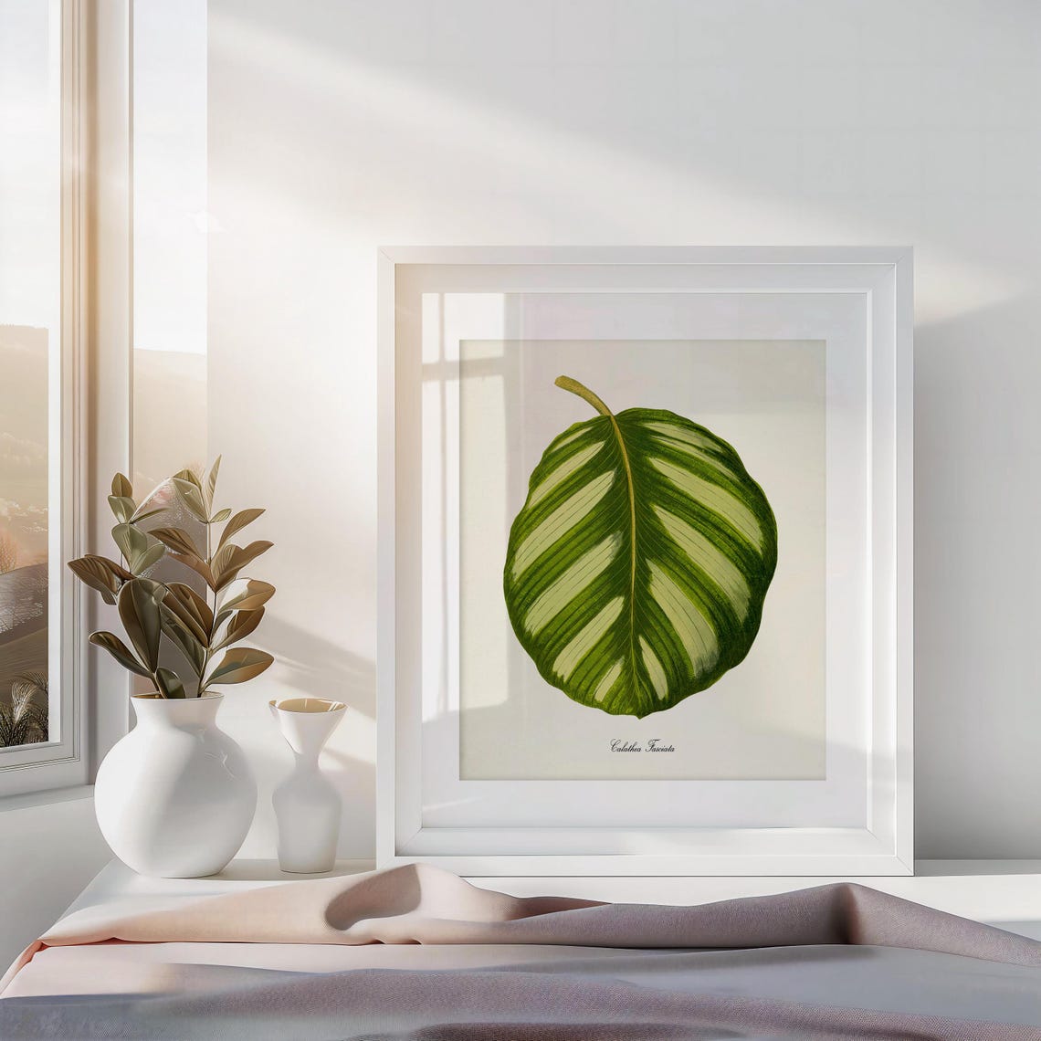 Calathea Fasciata Art Print, Calathea Fasciata Botanical Art Print ...