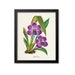 Purple Pescatoria Flower Art Print, Botanical Art Print, Flower Wall ...
