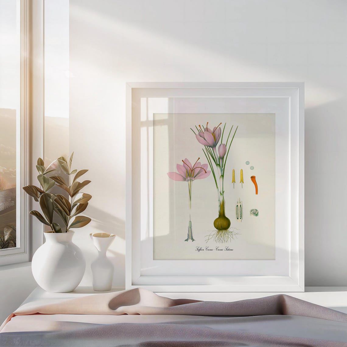 Saffron Crocus Botanical Print, Crocus Botanical Art Print, Crocus Wall ...