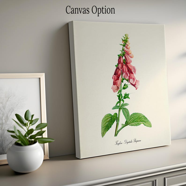 Foxglove Botanical Print, Foxglove Botanical Art Print, Foxglove Wall ...