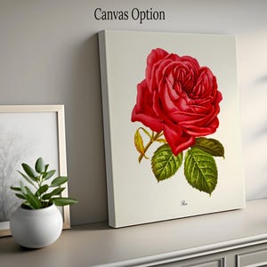 Red Rose Flower Art Print, Botanical Art Print, Flower Wall Art, Flower ...