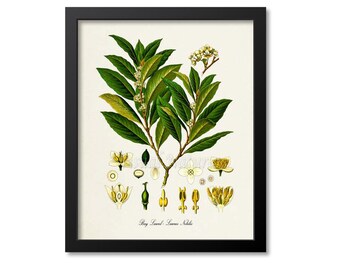 Bonanza 35 Decal angle 1 Beechcraft Model 35 Decal, 35 V-tail Vinyl ...