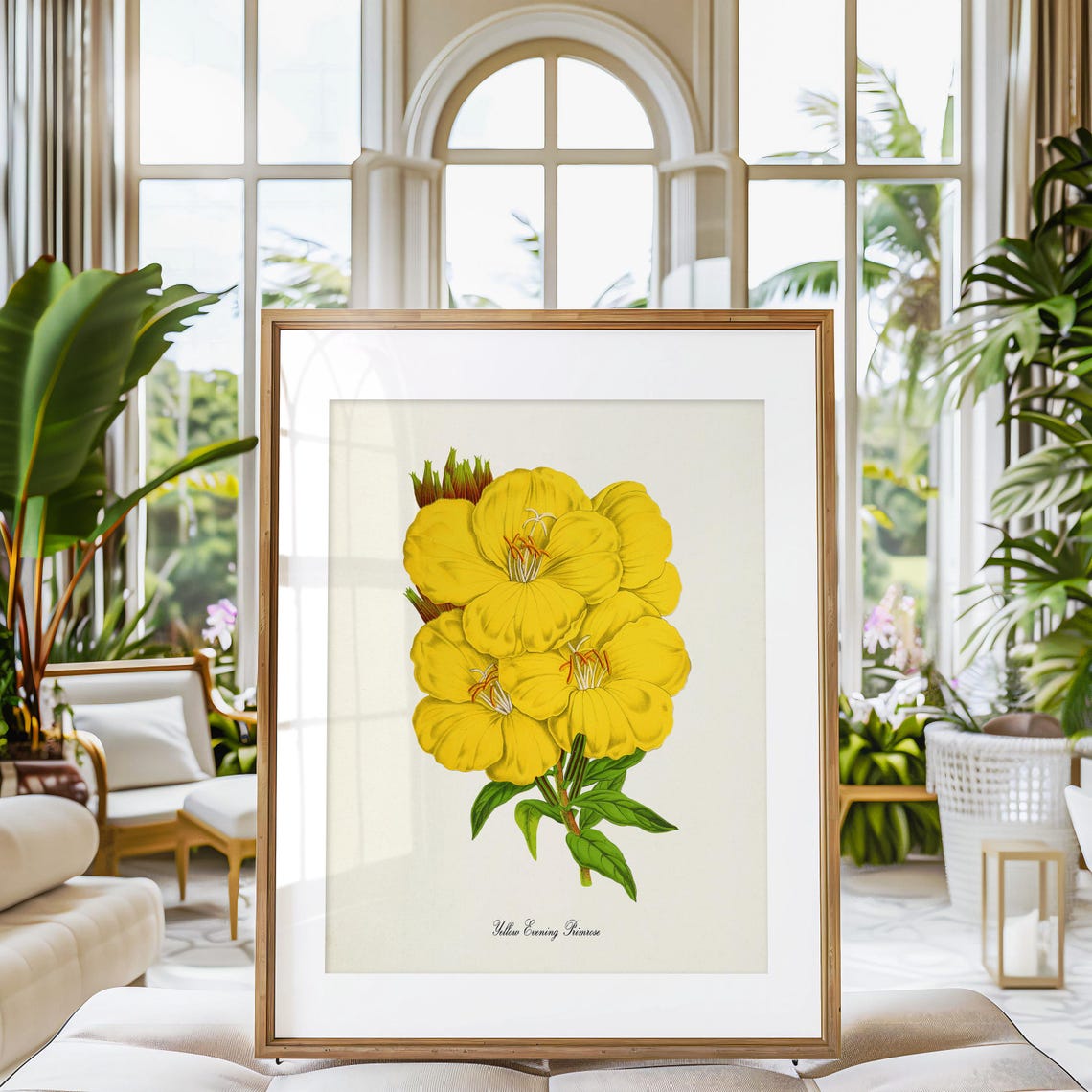 Yellow Evening Primrose Flower Art Print, Primrose Wall Art, Botanical ...