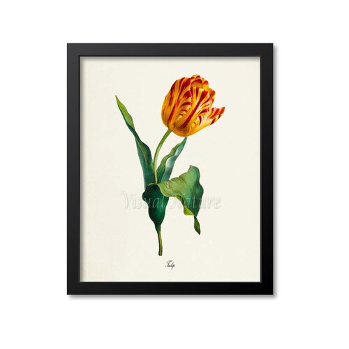 Yellow Tulip Art Print Tulips Flower Wall Decor Floral - Etsy