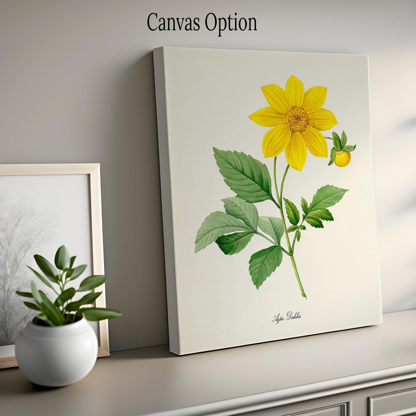Aztec Dahlia Flower Art Print, Botanical Art Print, Flower Wall Art ...