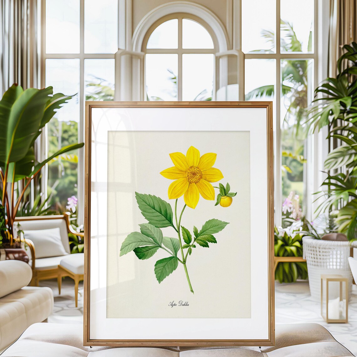 Aztec Dahlia Flower Art Print, Botanical Art Print, Flower Wall Art ...