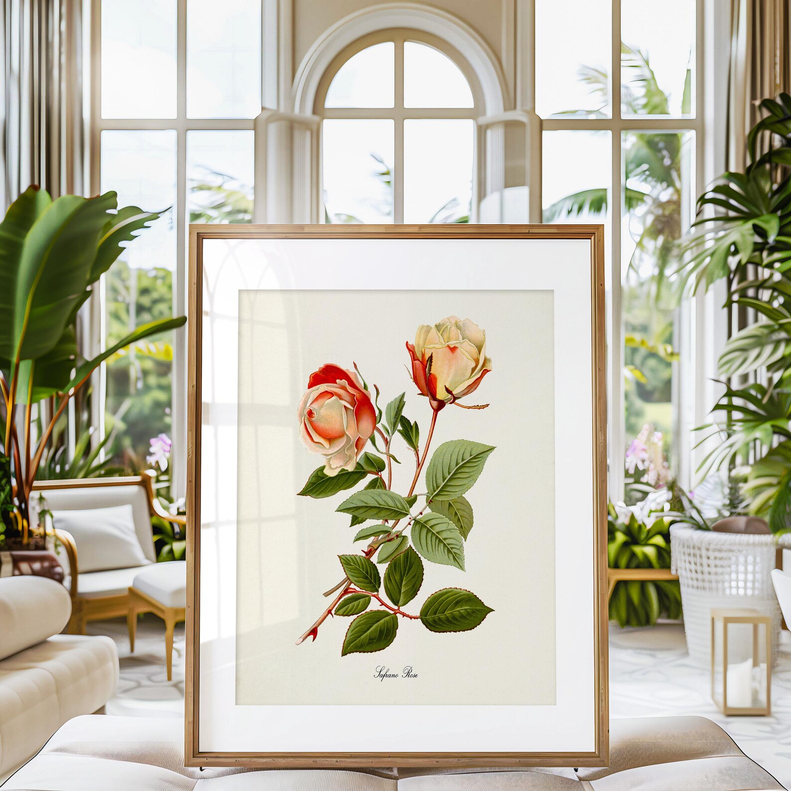 Safrano Rose Flower Art Print, Botanical Art Print, Flower Wall Art ...