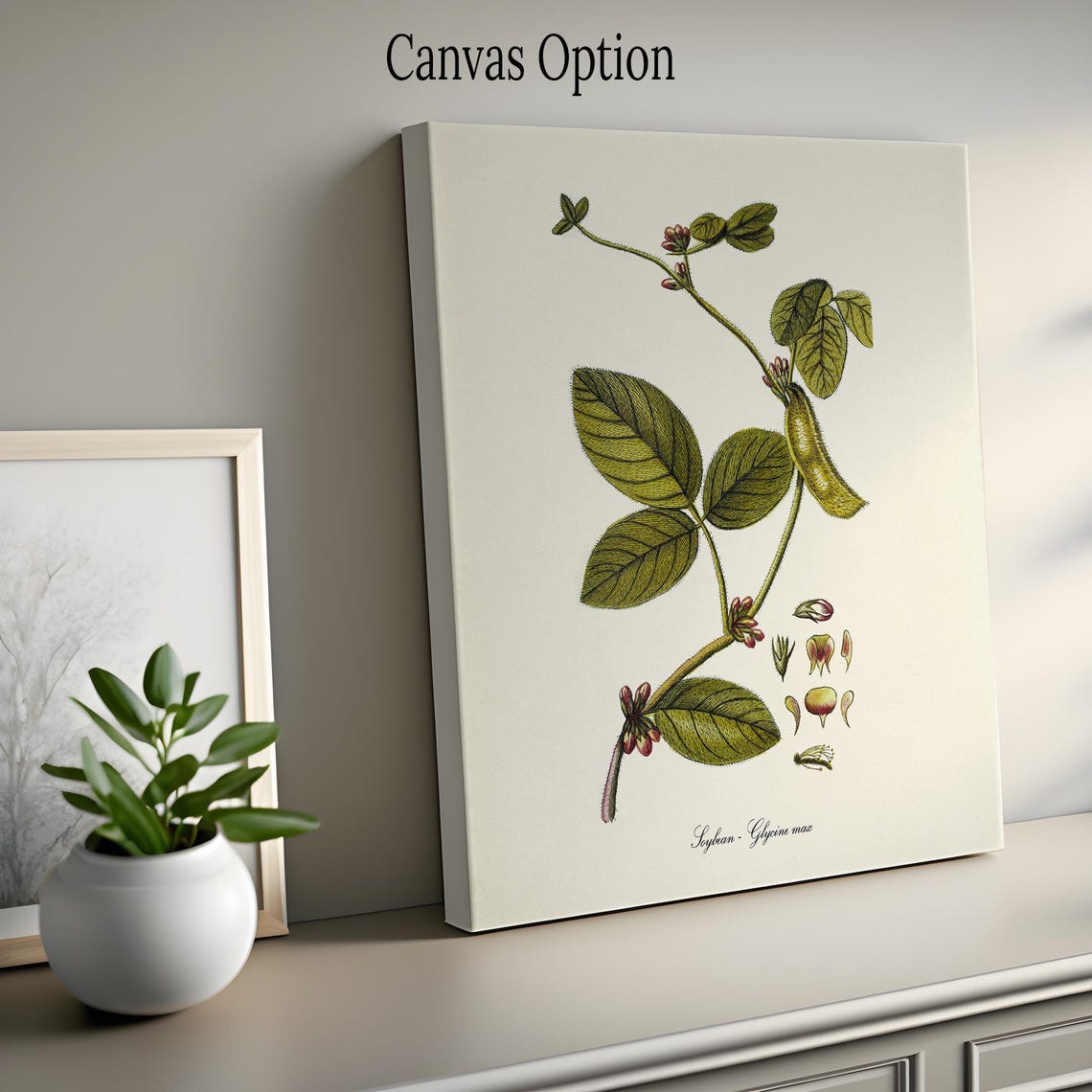 Soybean Botanical Print, Soybean Botanical Art Print, Soybean Wall Art ...