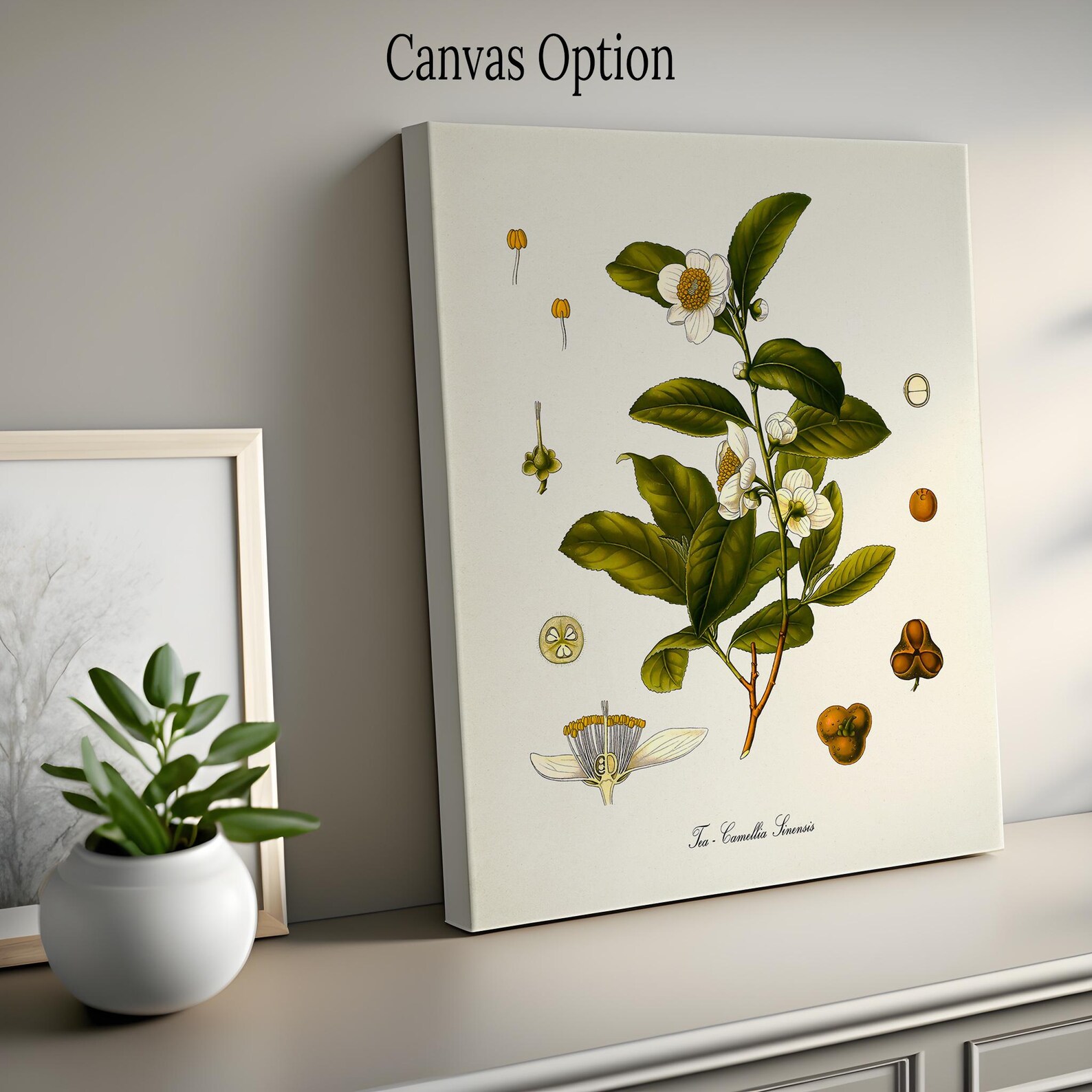 Tea Botanical Print, Tea Botanical Art Print, Tea Wall Art, Tea Decor ...