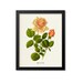 Tea Botanical Print, Tea Botanical Art Print, Tea Wall Art, Tea Decor ...