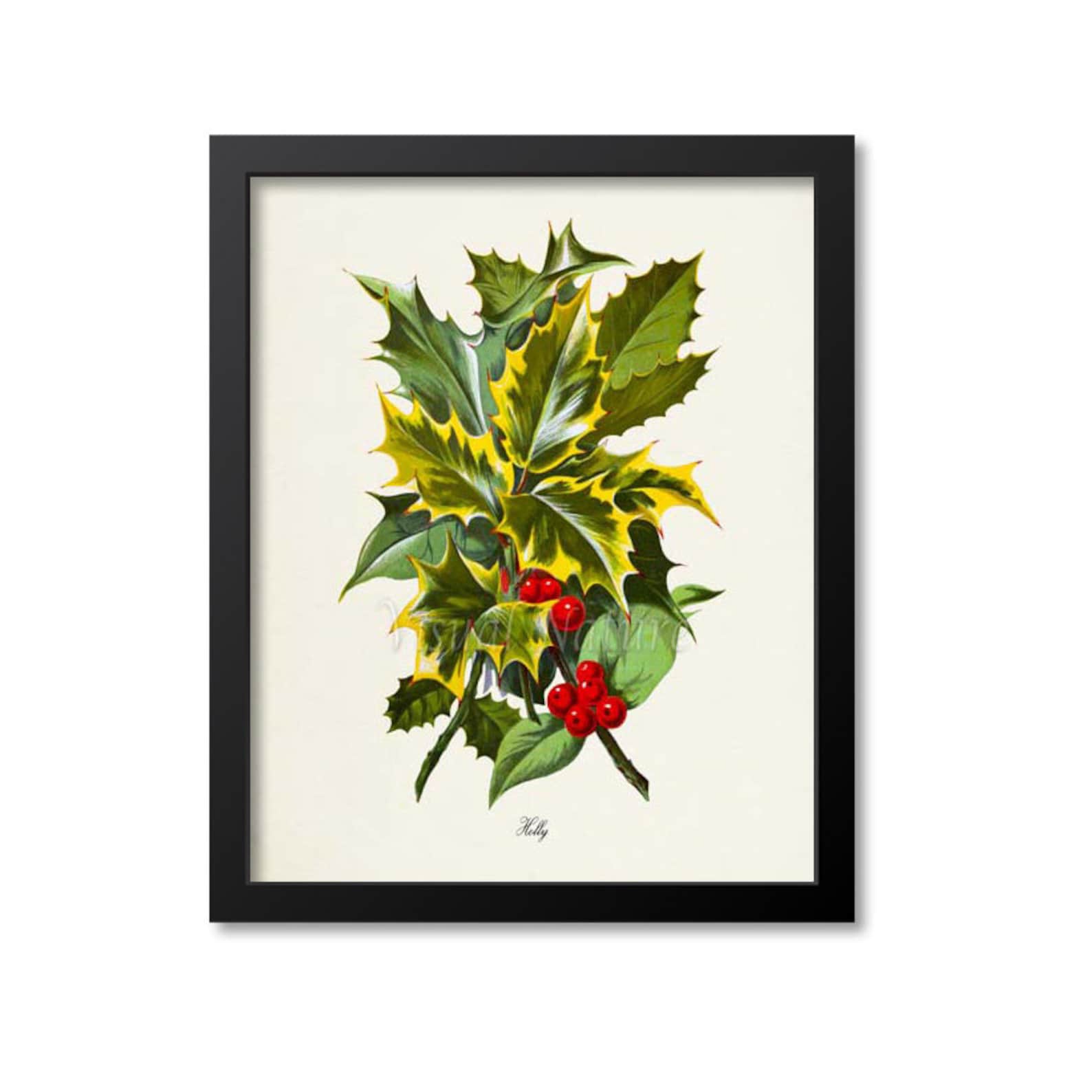 Holly Art Print Botanical Art Print Wall Art Botanical - Etsy