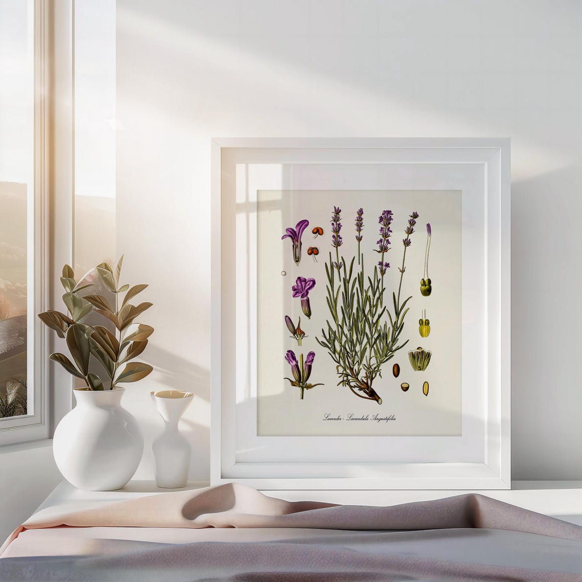 Lavender Botanical Print, Lavender Botanical Art Print, Lavender Wall ...