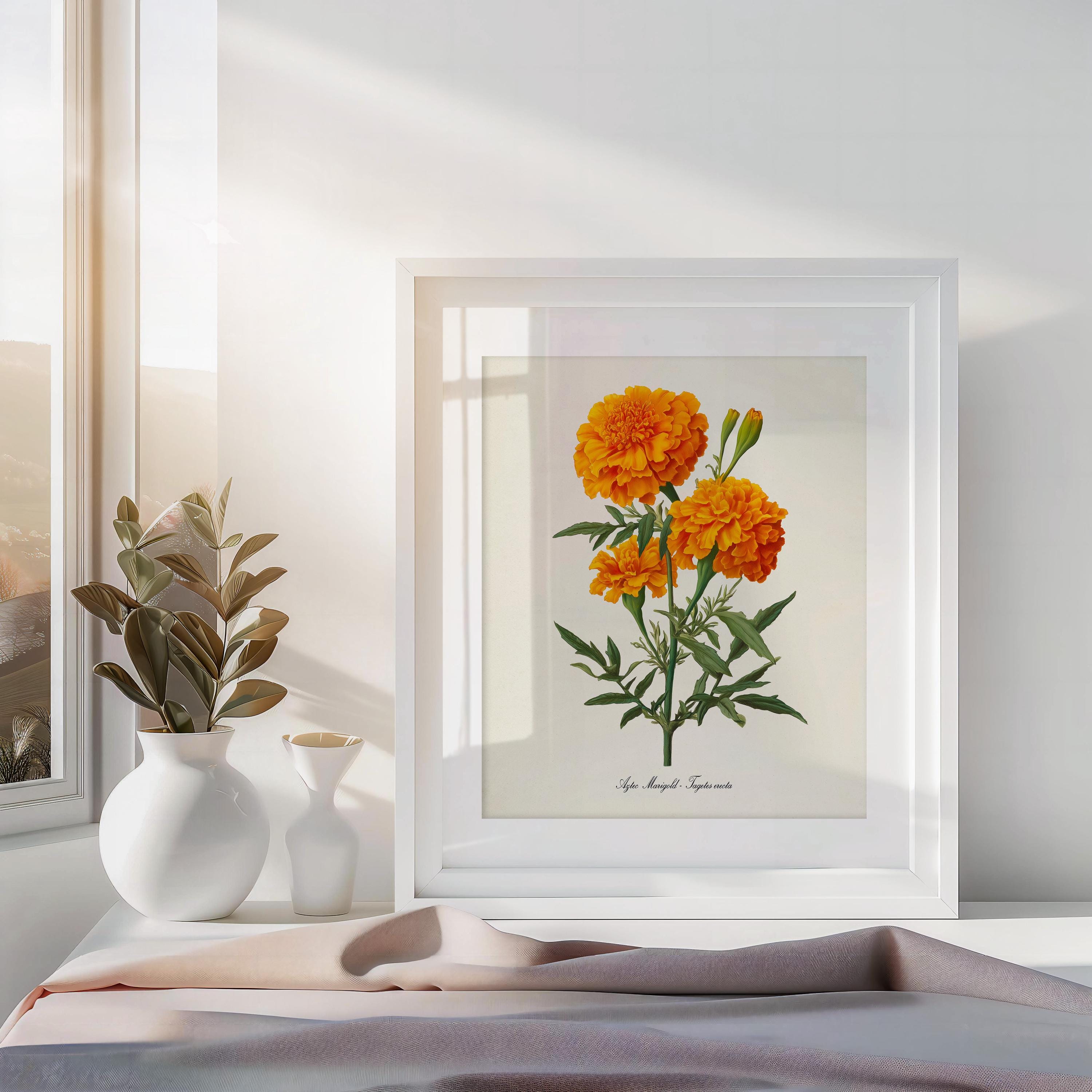 Aztec Marigold Botanical Print, Marigold Botanical Art Print, Marigold ...