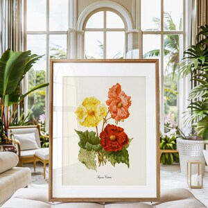 Begonia Cristata Flower Art Print, Botanical Art Print, Flower Wall Art ...