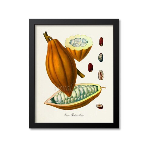 Cacao Tree Art Print Cocoa Tree Cocoa Beans Chocolate - Etsy