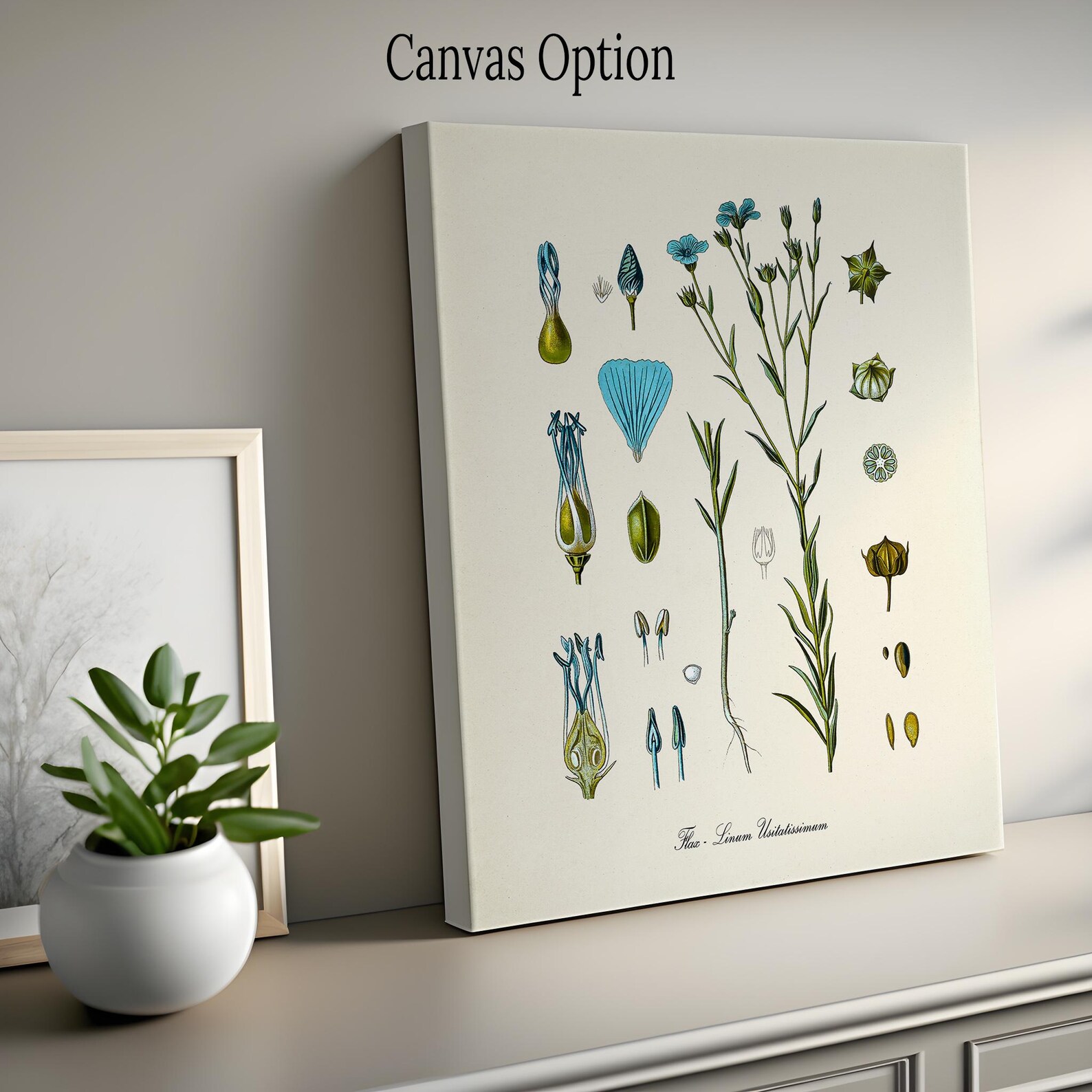 Flax Botanical Print, Flax Botanical Art Print, Flax Wall Art, Flax ...