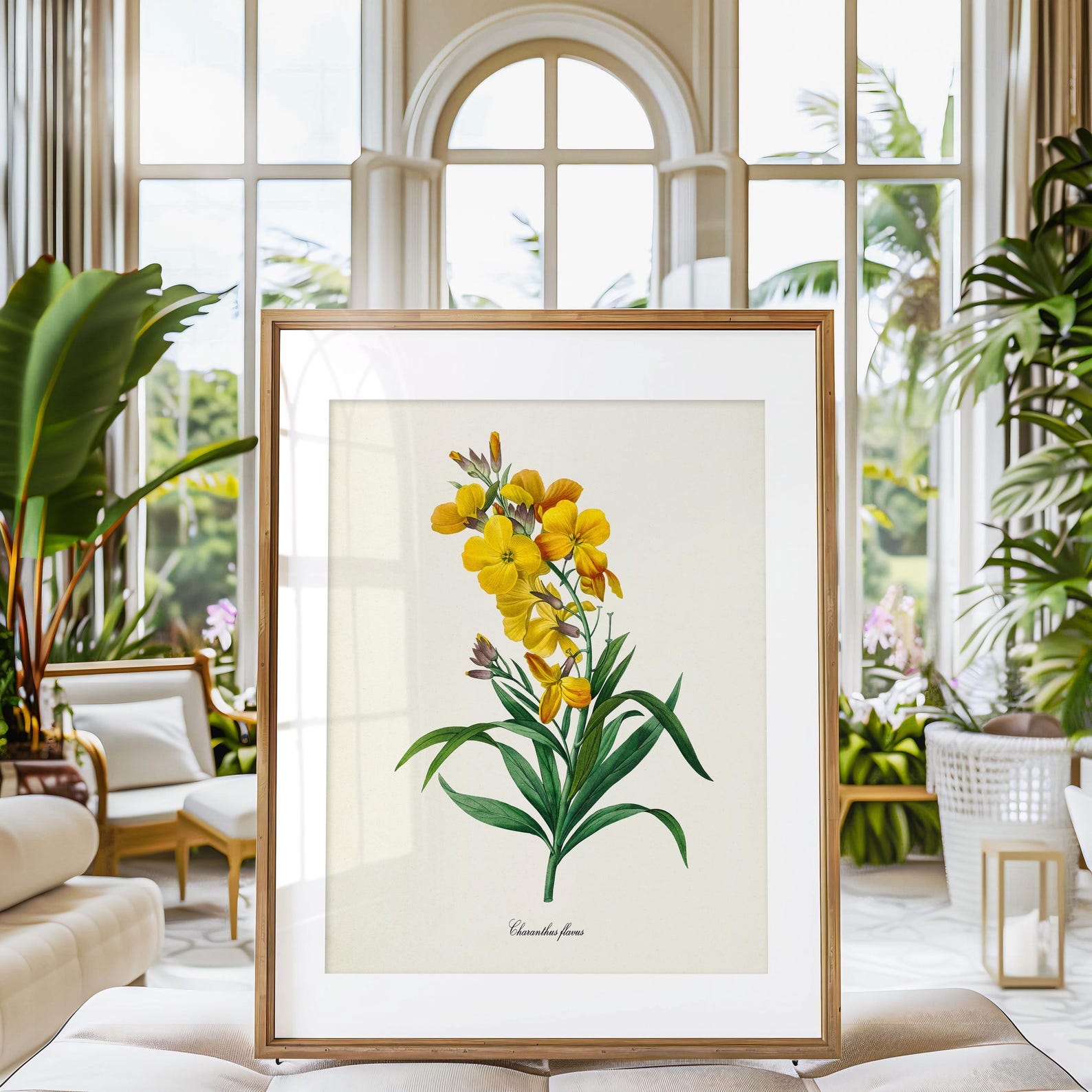 Charanthus Flavus Flower Art Print, Botanical Art Print, Flower Wall ...
