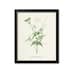 Tea Botanical Print, Tea Botanical Art Print, Tea Wall Art, Tea Decor ...