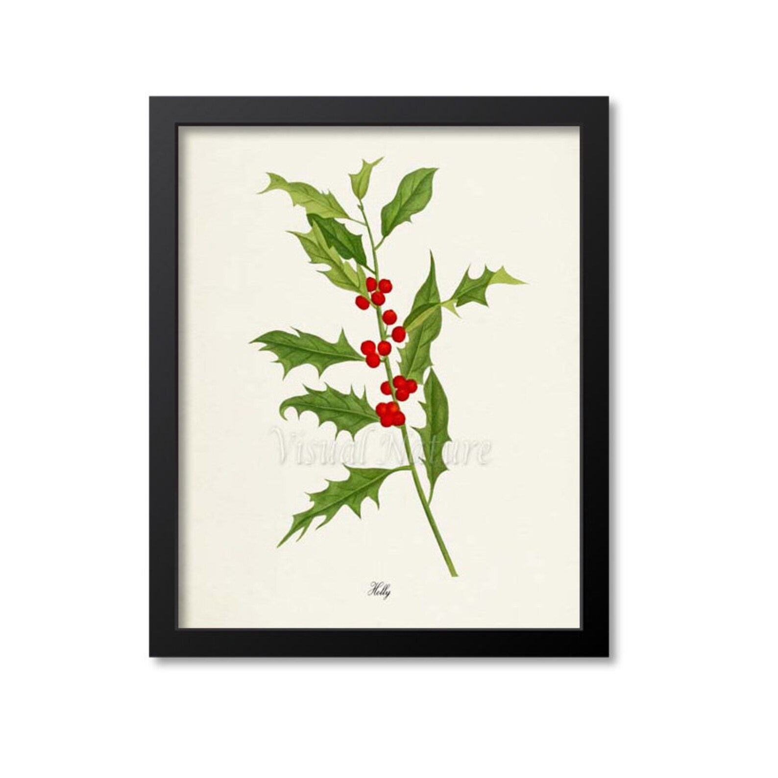 Holly Art Print Botanical Art Print Wall Art Botanical | Etsy
