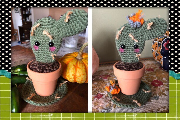 Crochet Mini Succulents - Etsy