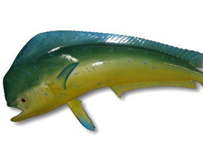 40'' Bull Dolphin / Mahi-mahi Half-side Fish Mount - Etsy