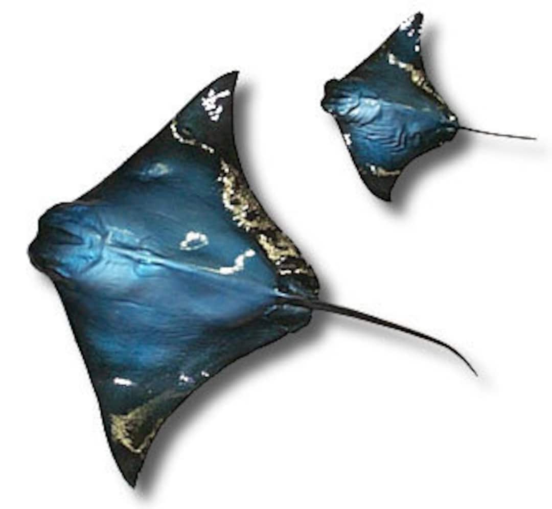 Blue Devil Ray Half-side Fish Mount 20'', 40'' - Etsy