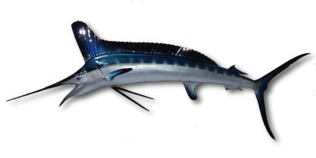 White Marlin Half-side Fish Mount - Etsy
