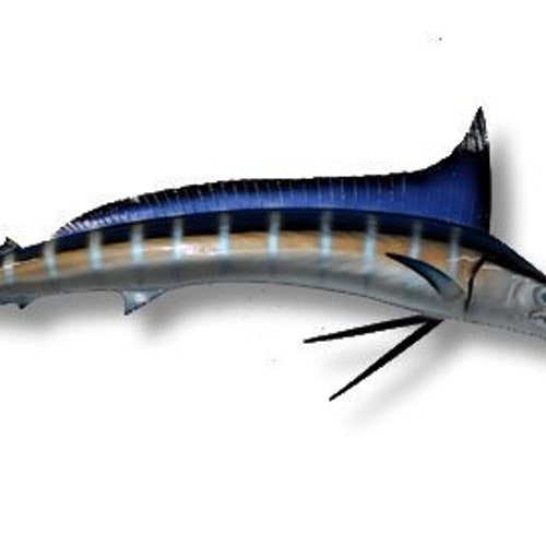 Blue Marlin Half-side Fish Mount 57 - Etsy