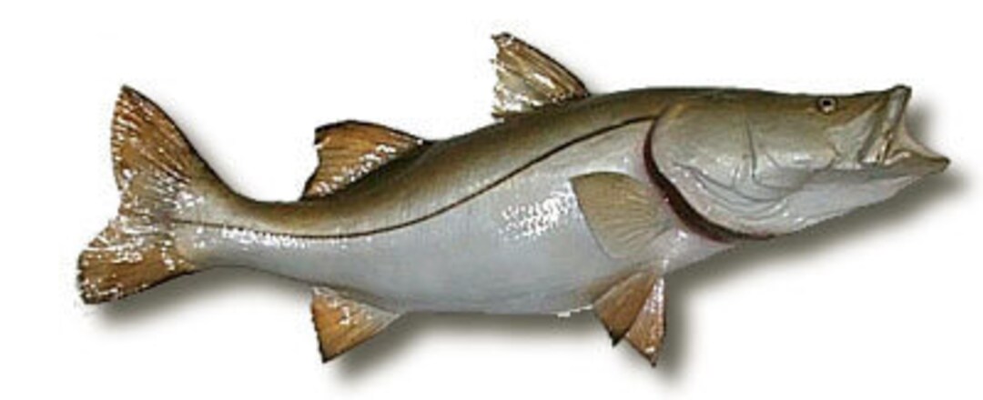 Snook 44" Half Mount - Etsy